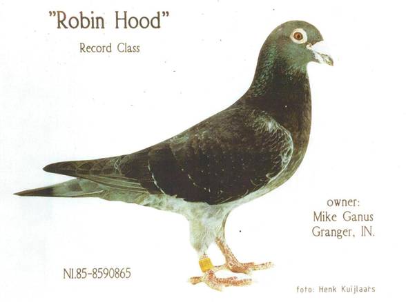 LUDO Breeding Catalogue