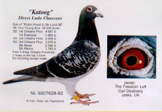 LUDO Breeding Catalogue