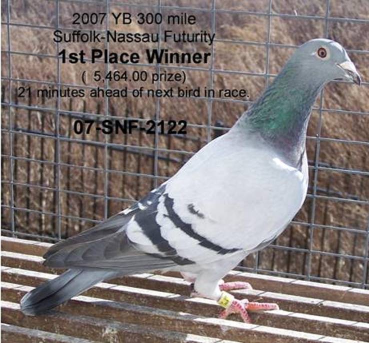 LUDO Breeding Catalogue